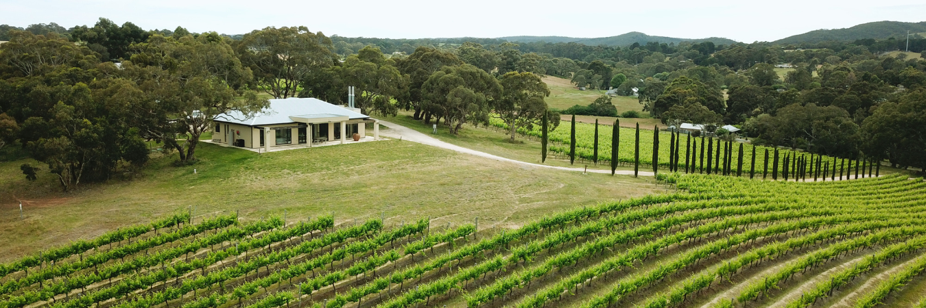 Red Wine – Mr. Riggs